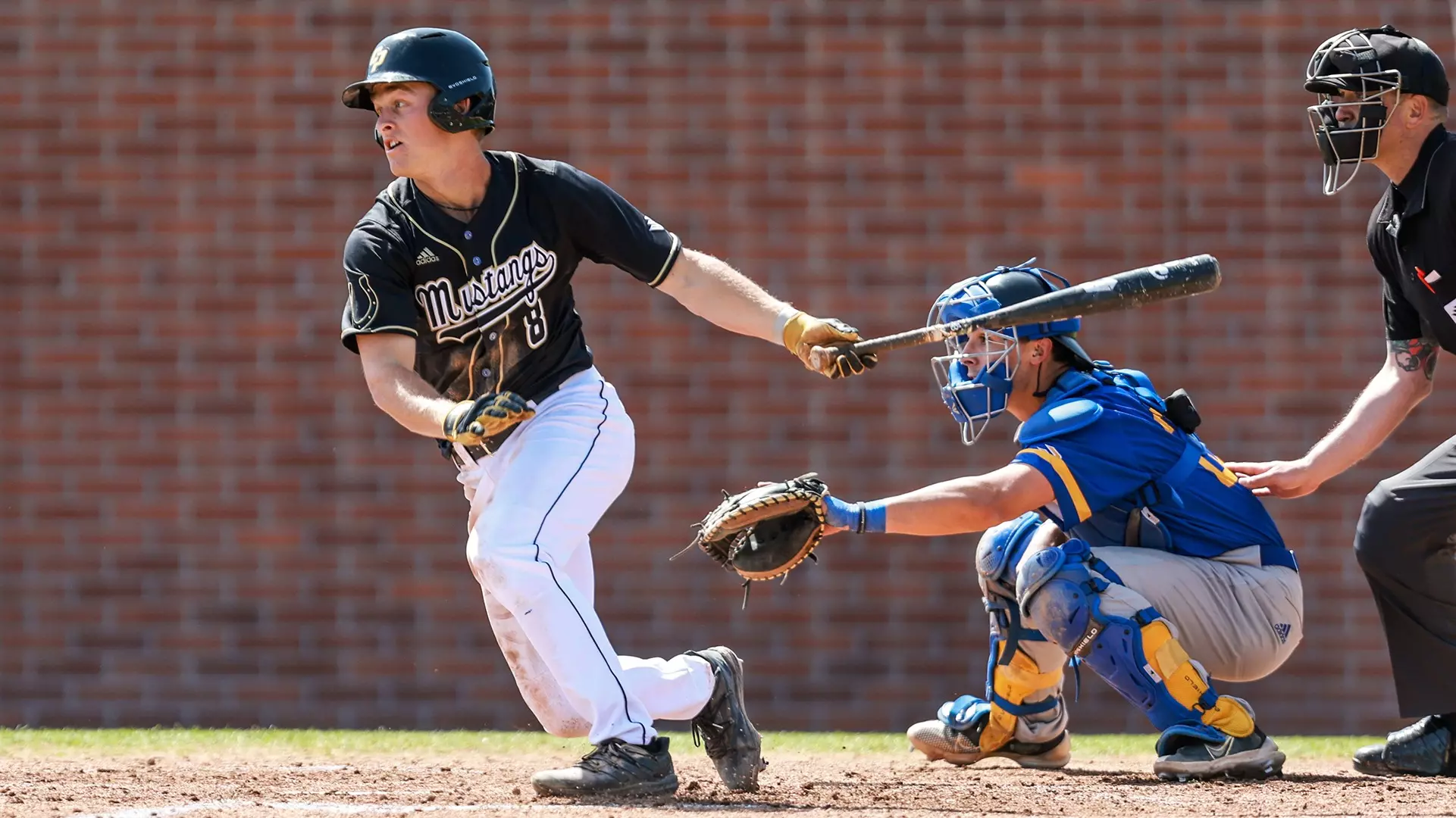 Ryan Fenn - 2025 - Baseball - Cal Poly