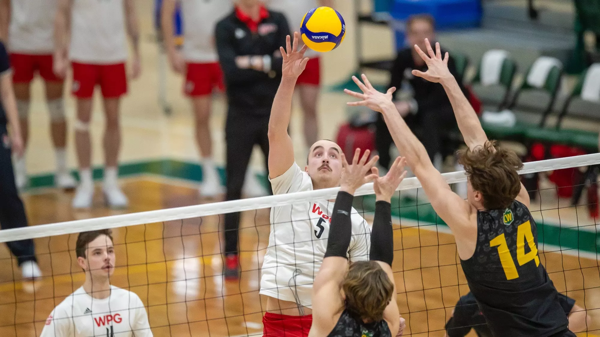 MVB: Wesmen win streak meets abrupt end - University of Winnipeg