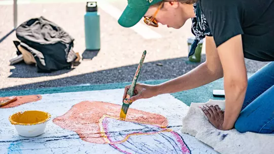 Colorado State University