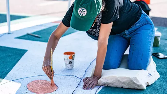 Colorado State University