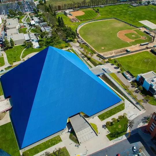 Softball - Long Beach State University Athletics