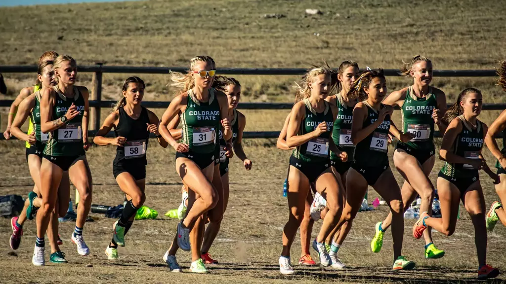 Colorado State University