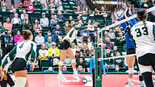 Colorado State University