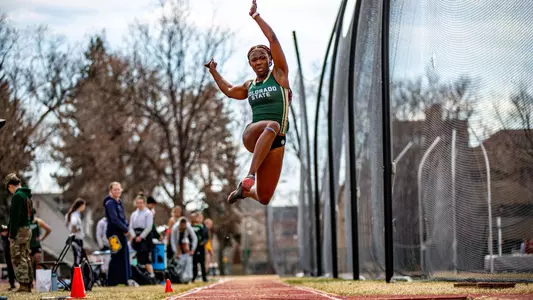 Colorado State University