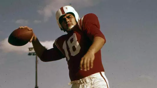 roman gabriel