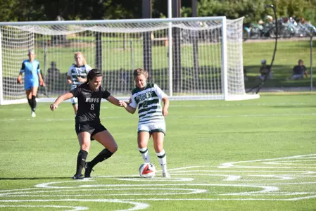 Colorado State University