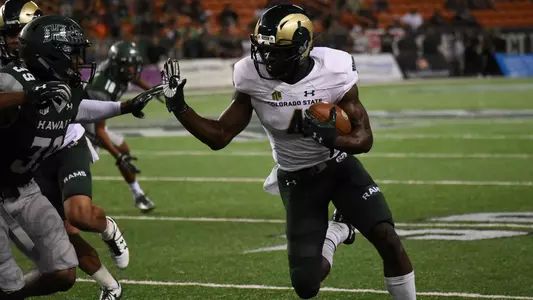 Colorado State University