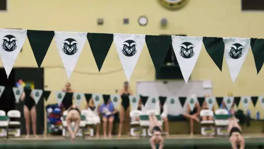 Colorado State University