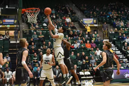 Colorado State University