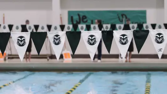 Colorado State University