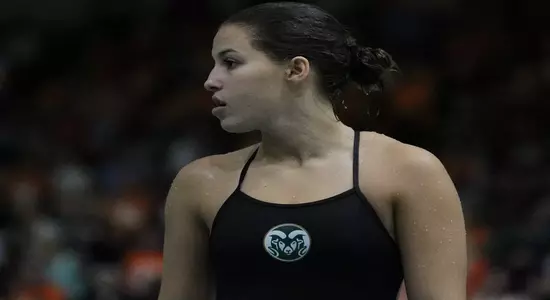 Colorado State University