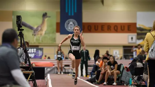 Colorado State University