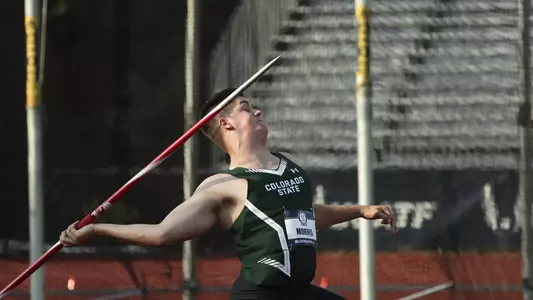 Colorado State University