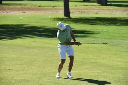 Colorado State University