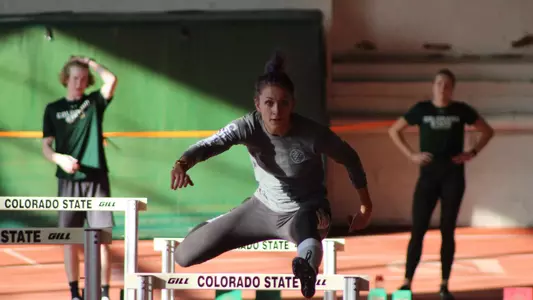 Colorado State University