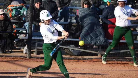 Colorado State University