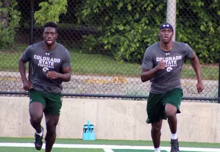 Colorado State University