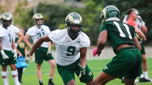 Colorado State University