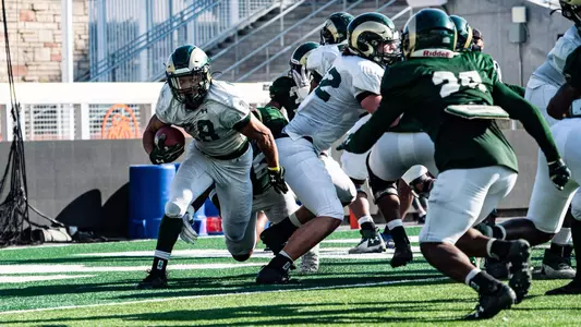 Colorado State University