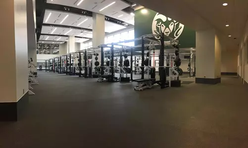 Colorado State University