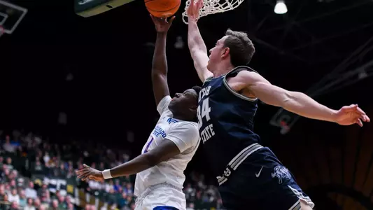 Colorado State University