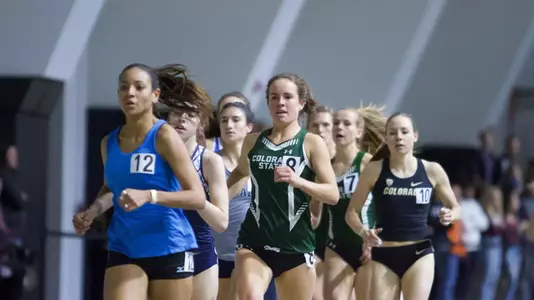 Colorado State University