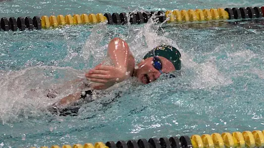 Colorado State University