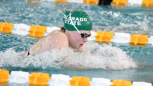 Colorado State University