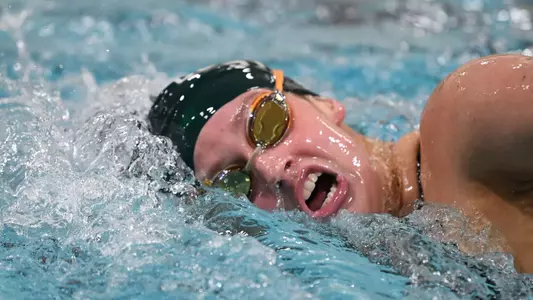 Colorado State University