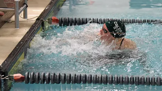 Colorado State University