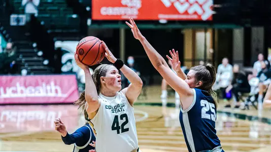 Colorado State University