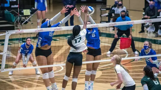 Colorado State University