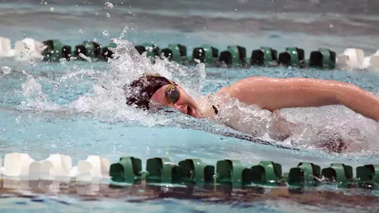 Colorado State University