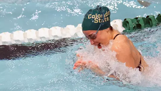 Colorado State University