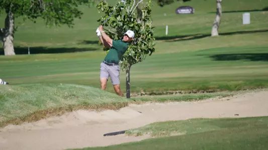 Colorado State University