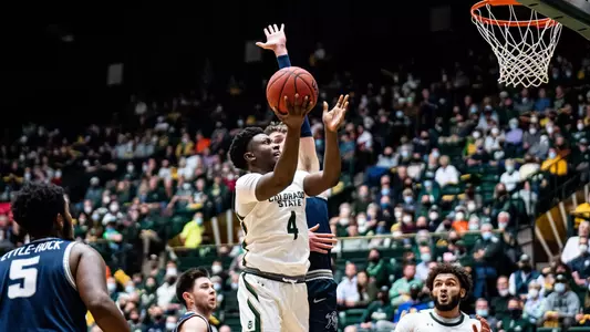 Colorado State University