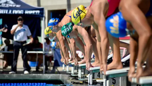 Colorado State University