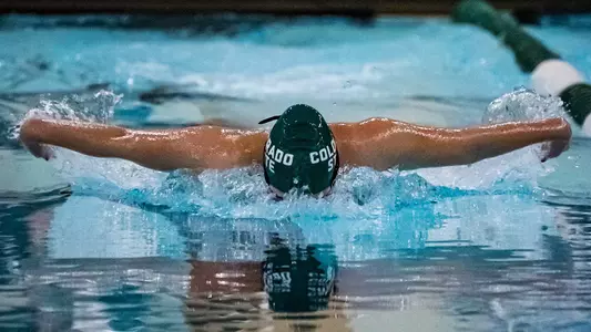 Colorado State University