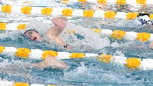 Colorado State University