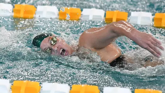 Colorado State University