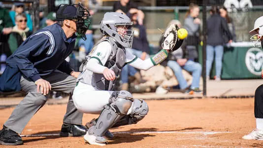 Colorado State University