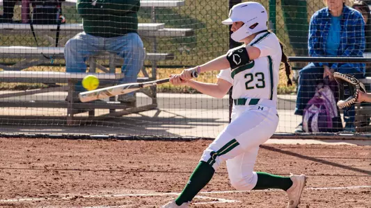 Colorado State University