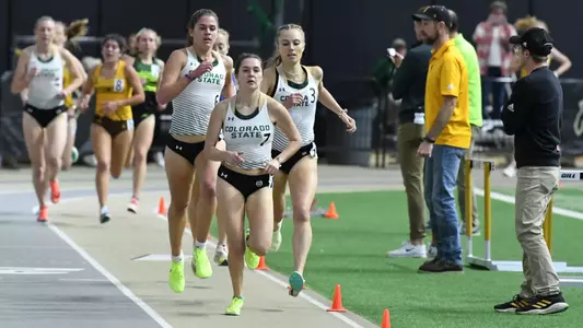 Colorado State University