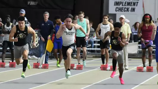 Colorado State University