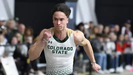 Colorado State University