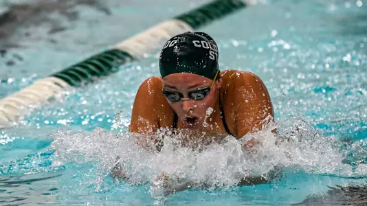 Colorado State University