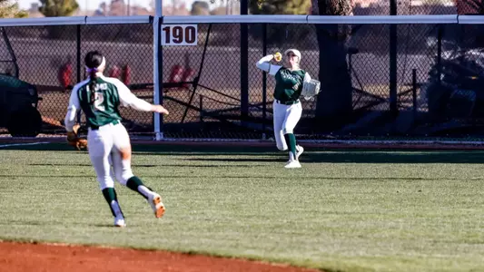 Colorado State University