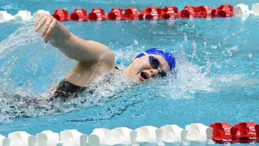 Colorado State University