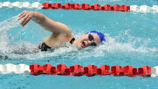 Colorado State University