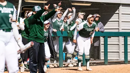 Colorado State University